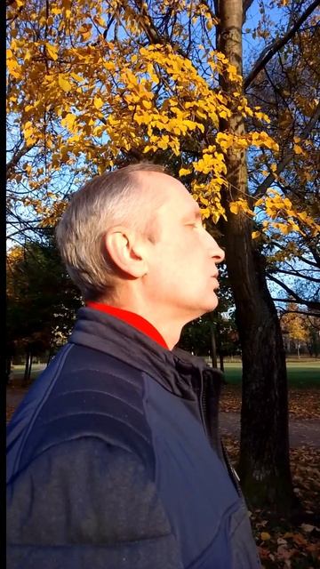 Дыхание цветом