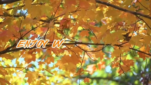 Интро для @Toca love evenss 🤍//TOCA BOCA//intro//TOCA LIFE//TOCA WORLD//тока бока//тока лайф ворлд