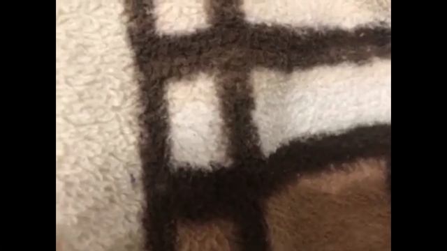 Объявление для подписчиков