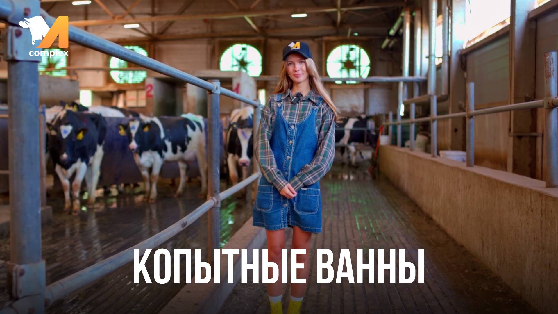 Копытные ванны | M-complex