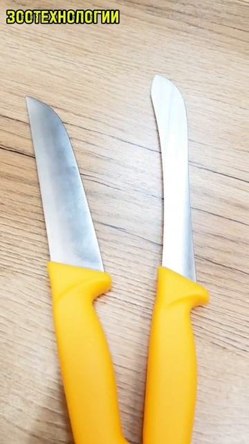 Ветеринарные ножи