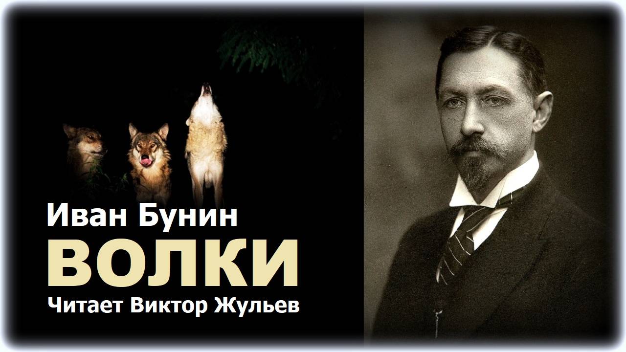 Аудиокнига «ВОЛКИ». Иван Бунин