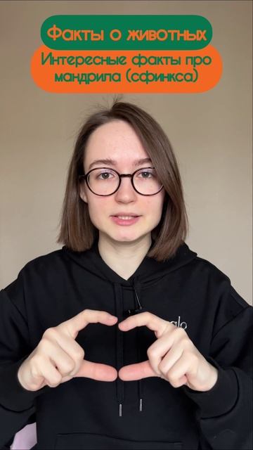 Зачем мандрил демонстрирует свои клыки