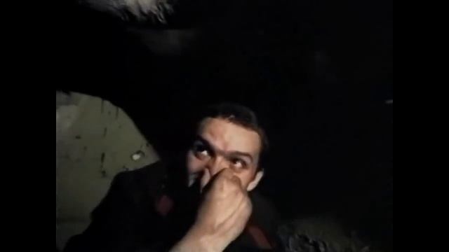 Зелёный слоник: смех Братишки