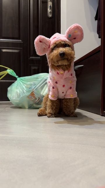 коротко , но очень смешно)