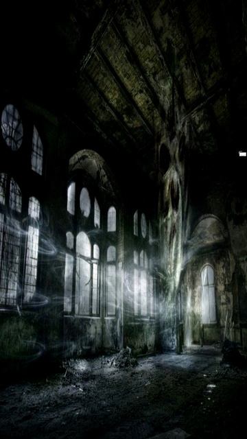 ФАКТЫ ОБ ...  1325 #shorts