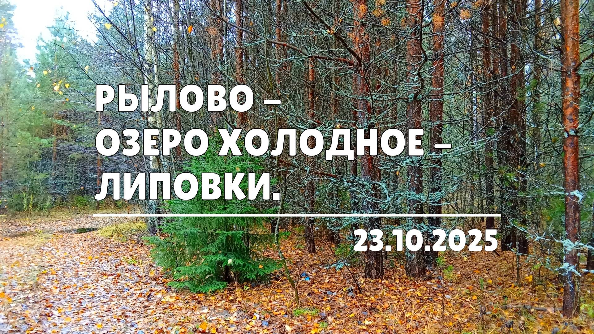 Рылово - озеро Холодное - Липовки (23.10.2025)