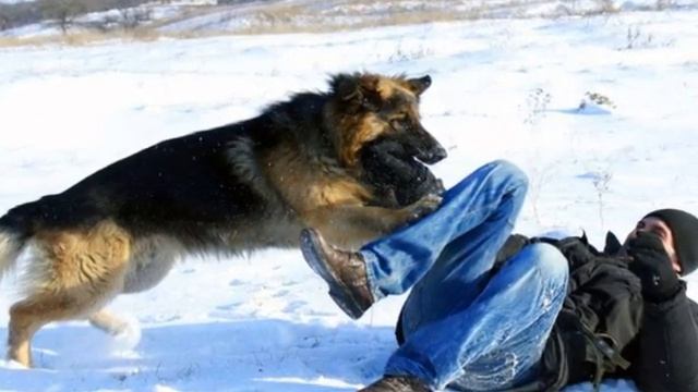 Ах, любовь, ты любовь Лысковский СДК Автор видео НРудакова