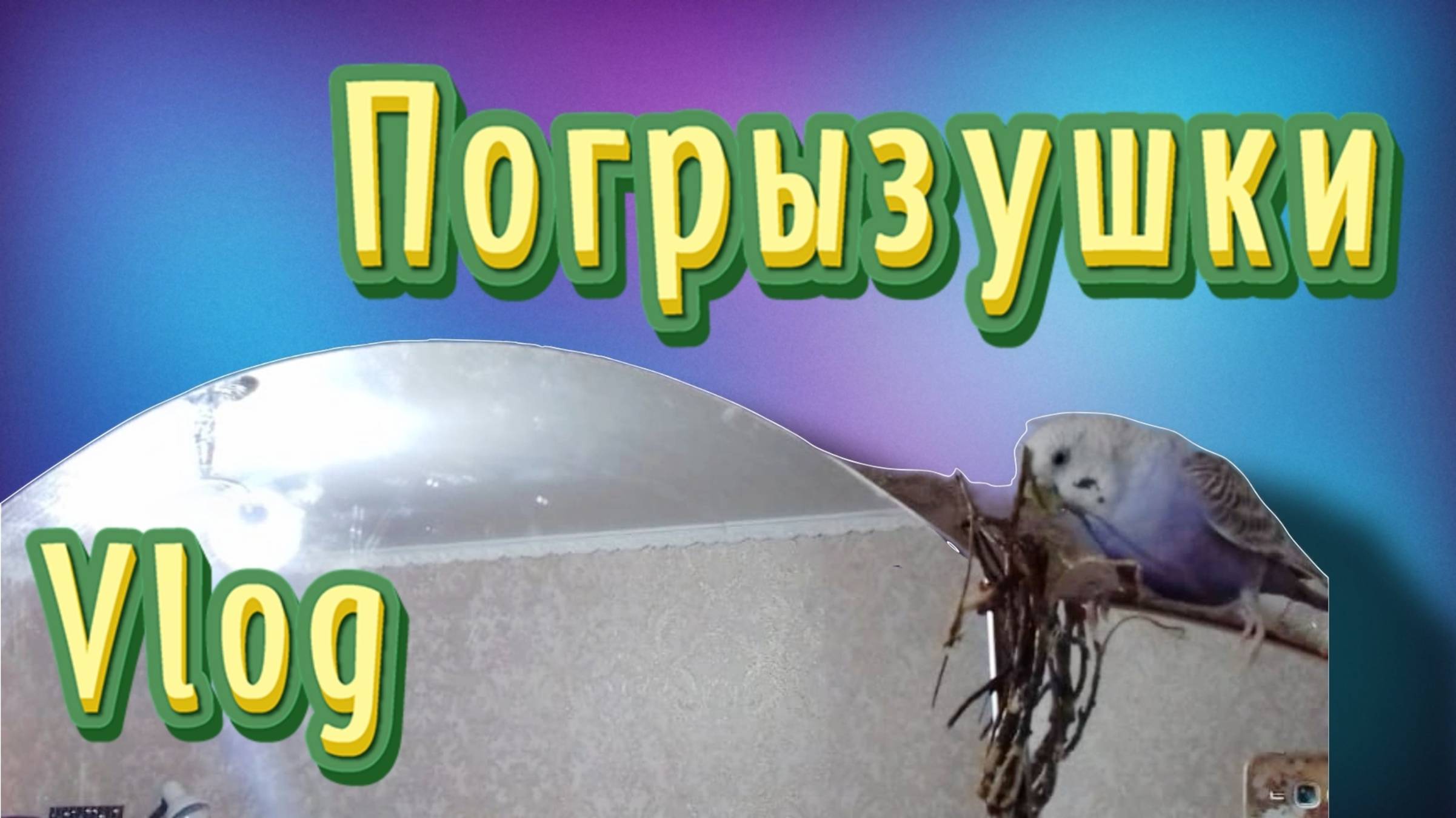 ВЛОГ / Осенние погрызушки для попугая. Попугай рад новым веточкам