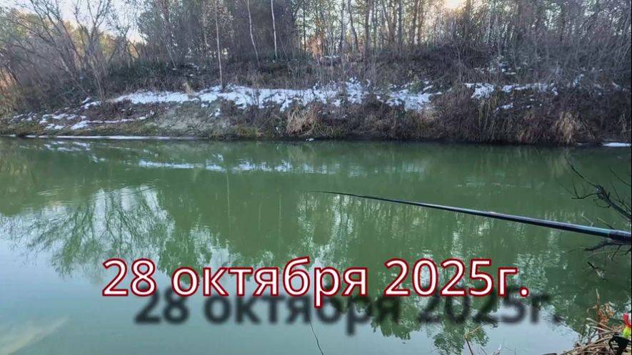 МЕЖСЕЗОНЬЕ, ПОПЛАВОК ! Рыбы полно ! Коротаем время до льда. Рыбалка 28 октября 2025г.
