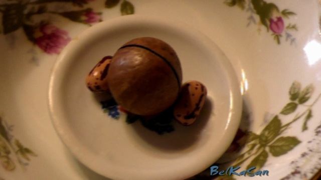 Крепкий Орешек Макадамия. Киндал.