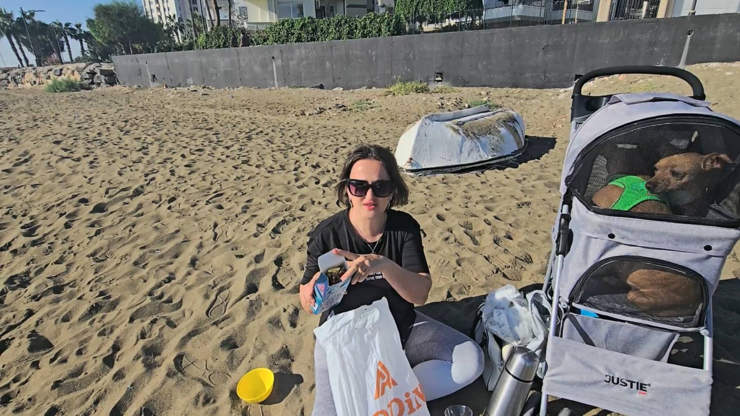 Гуляем с мальчиками на набережной, отпускаю их с поводка