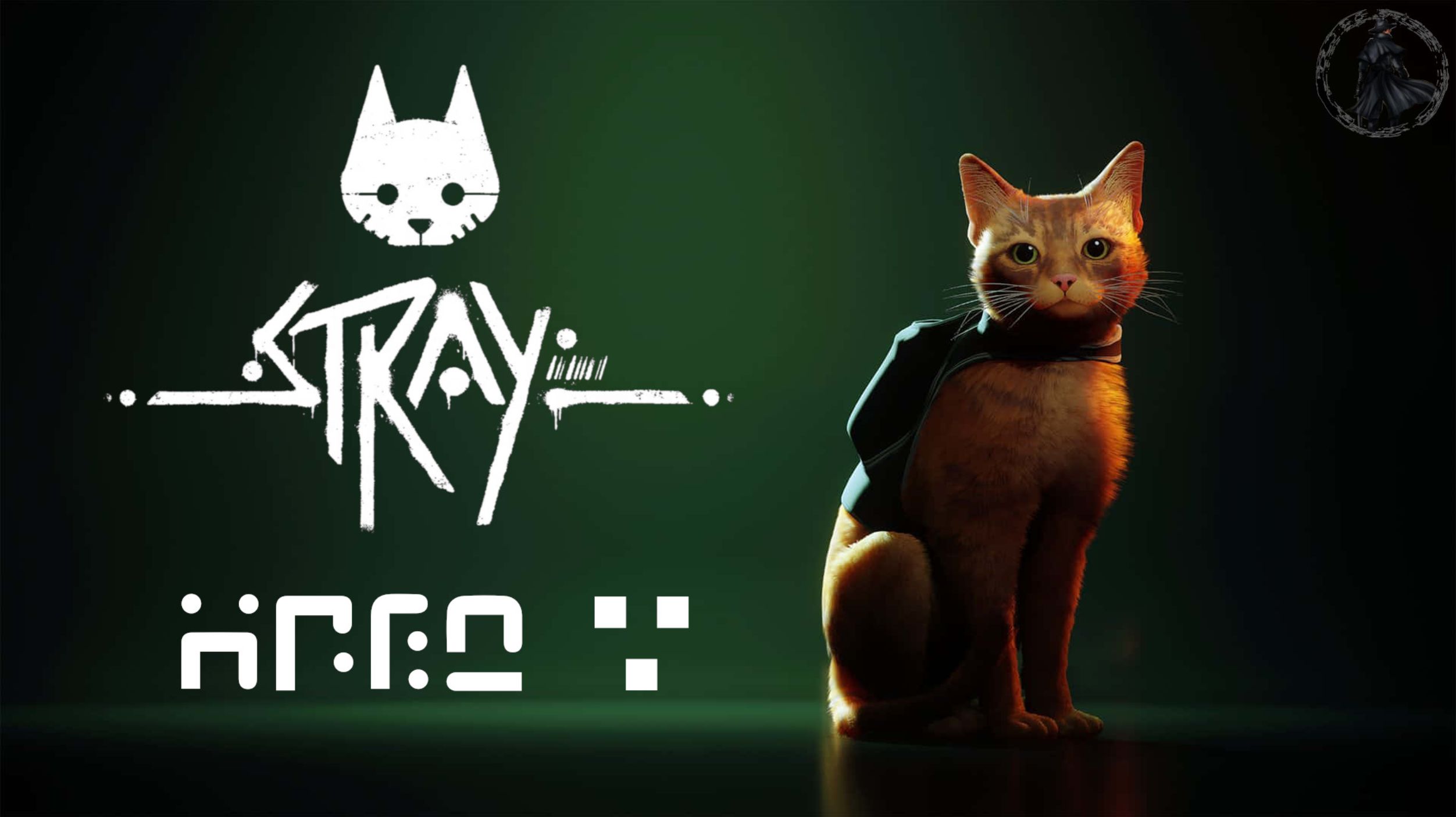 Stray. Аутсайдеры (часть 3)