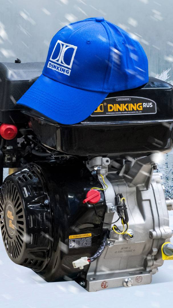 Двигатель Dinking DK196F-S