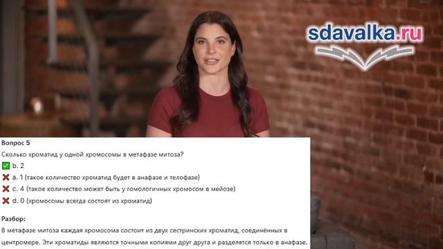 Биология 10 класс. Урок 5. Тест 1. Жизненный цикл клетки. Бесплатная подготовка к ЕГЭ. Sdavalka.RU