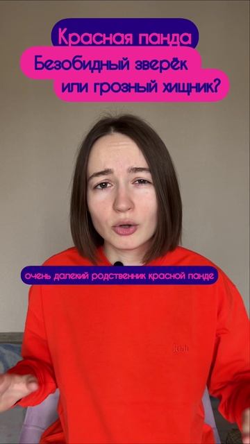 Помнишь милашку красную панду?