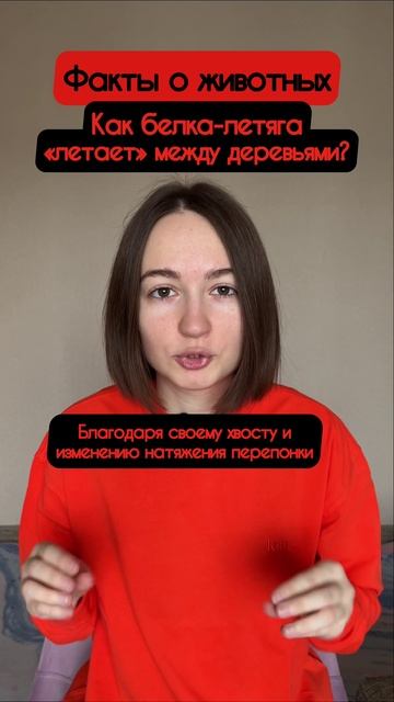 Белка-летяга и правда умеет летать ^^ (подписывайся, и не такое узнаешь))