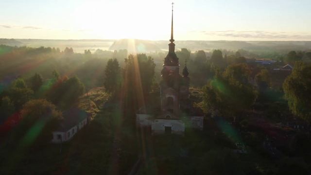 5 Самых популярных и лучших Арий от NEW MSD Music Laboratory