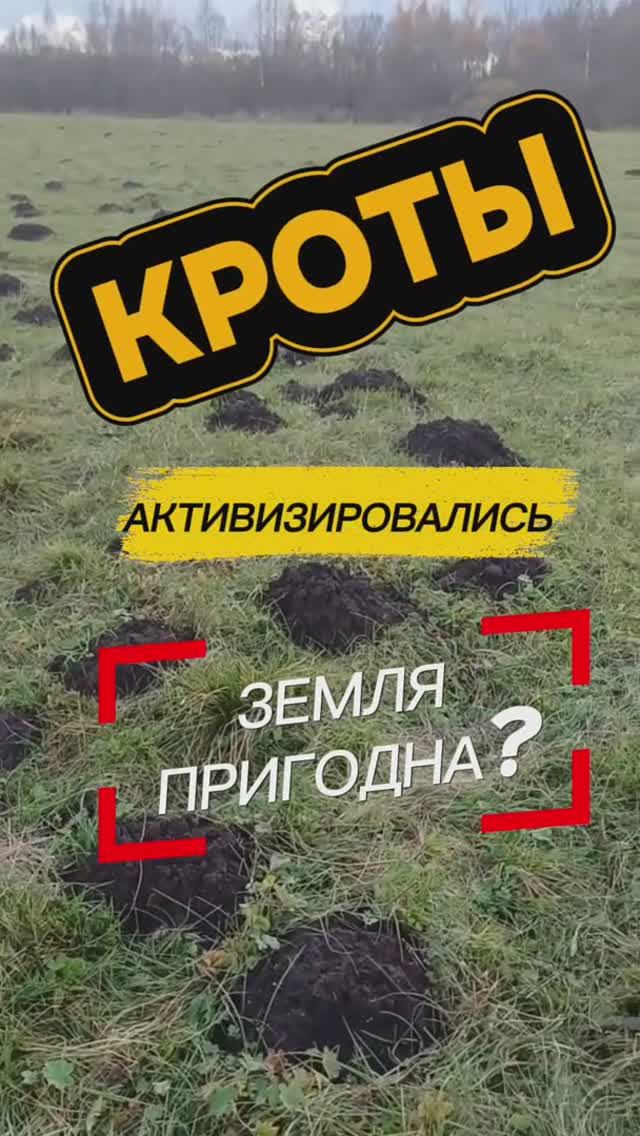 Кроты активизировались, пригодна ли земля 🤔
