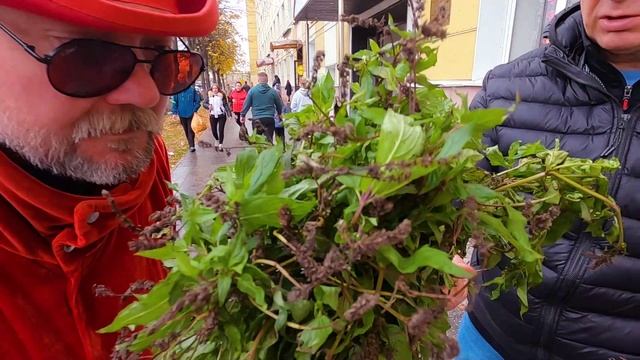 Притчи Лё маргиналов. 24 серия. Надежда не умрёт никогда