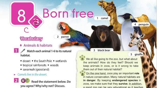 Spotlight 7, m.8c, Born free, words