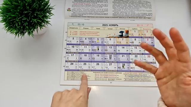 Лунный месяц НОЯБРЬ 2025🌛совет как правильно планировать месяц😉 удачные и не удачные дни месяца!