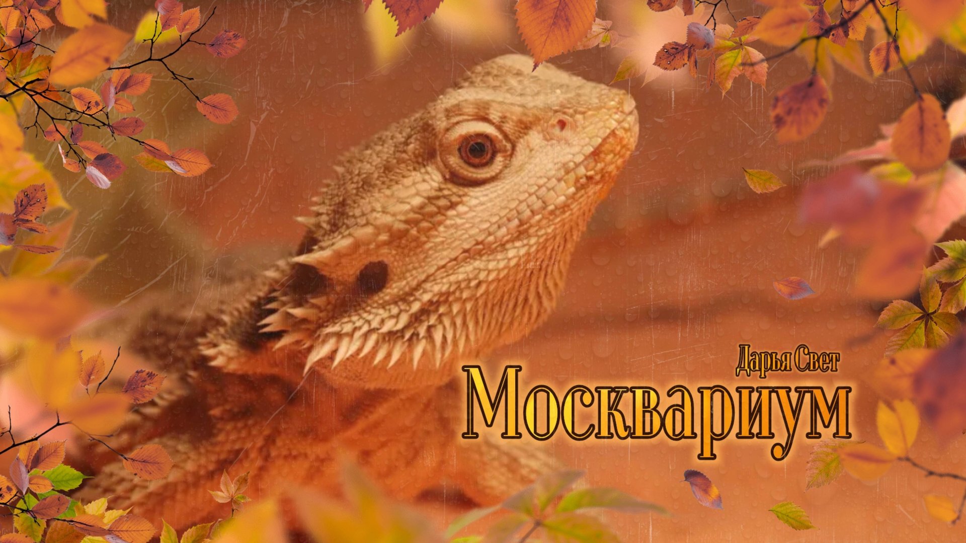 Бородатая агама. Йеменский хамелеон. Древолазы. Рептилии и амфибии. Аквариум. Москвариум. Осень 2025