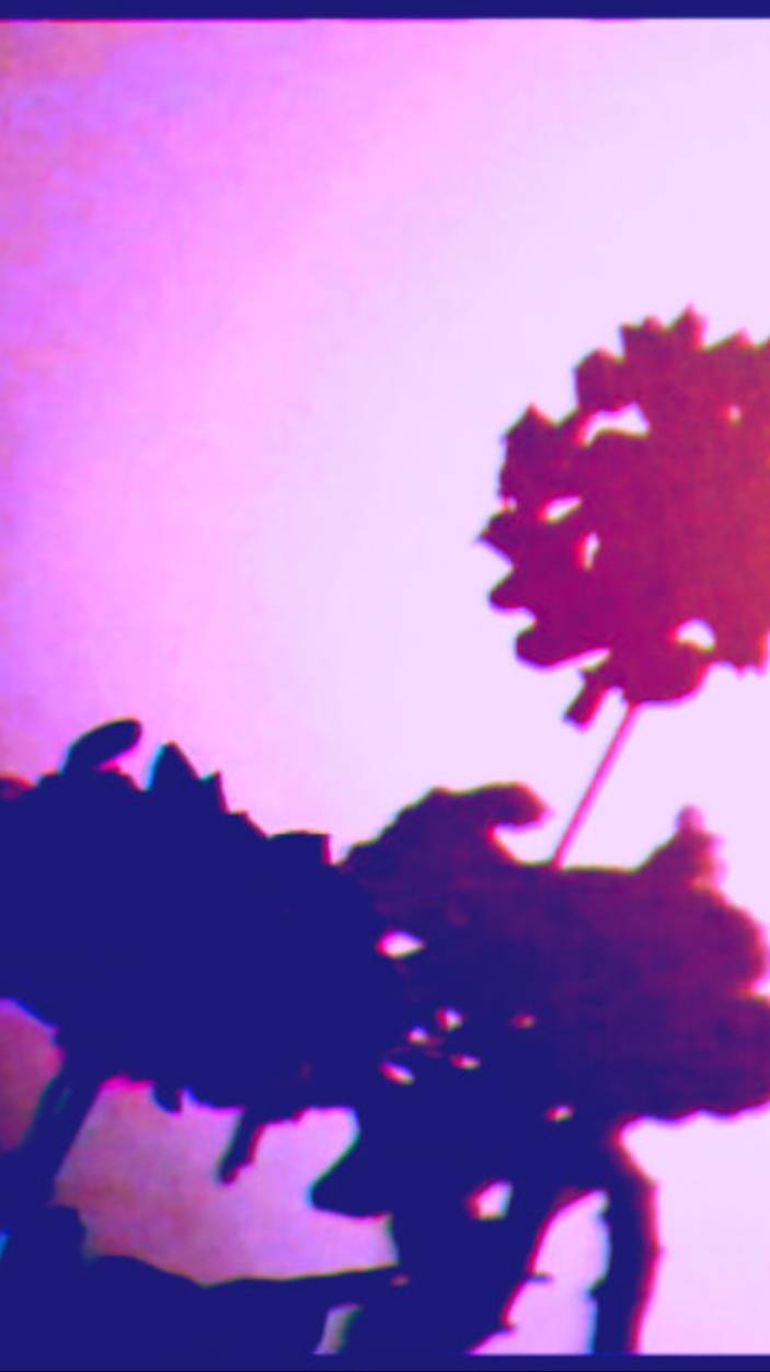 dreams short ссылка на КЛИП в описании и комментарии