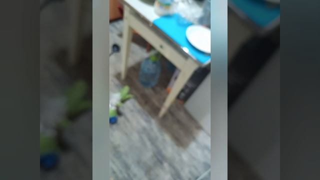 ГРЕННИ В ЗАБРОШЕННОЙ ДЕРЕВНЕ (ЧАСТЬ 4)