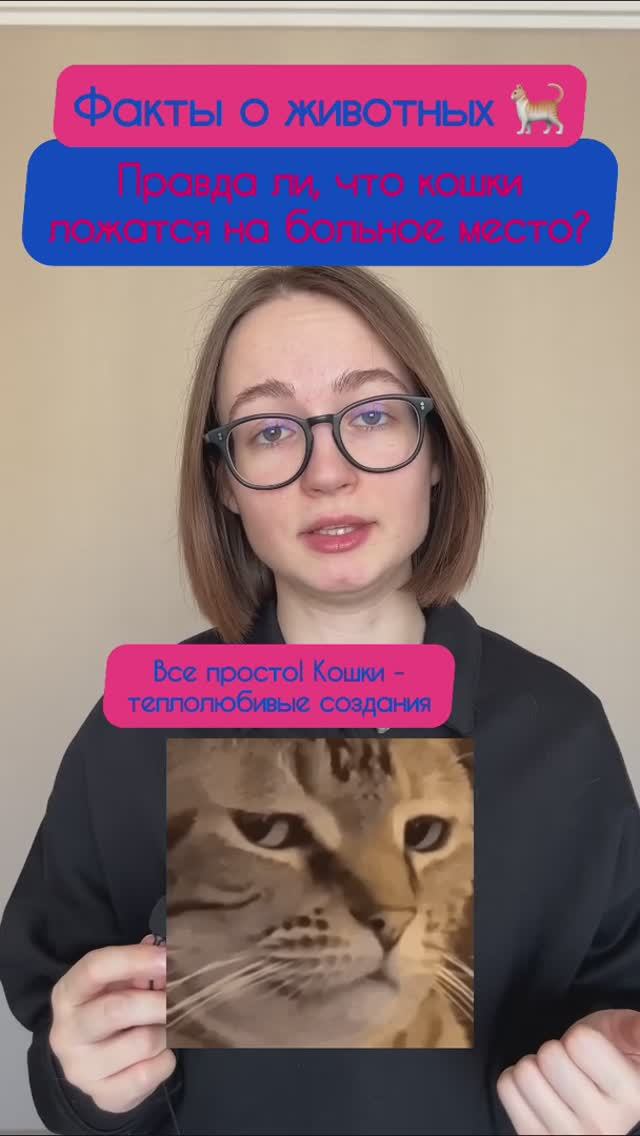 Правда ли, что кошки ложатся на больное место?) Подписывайся и не пропускай новые факты)