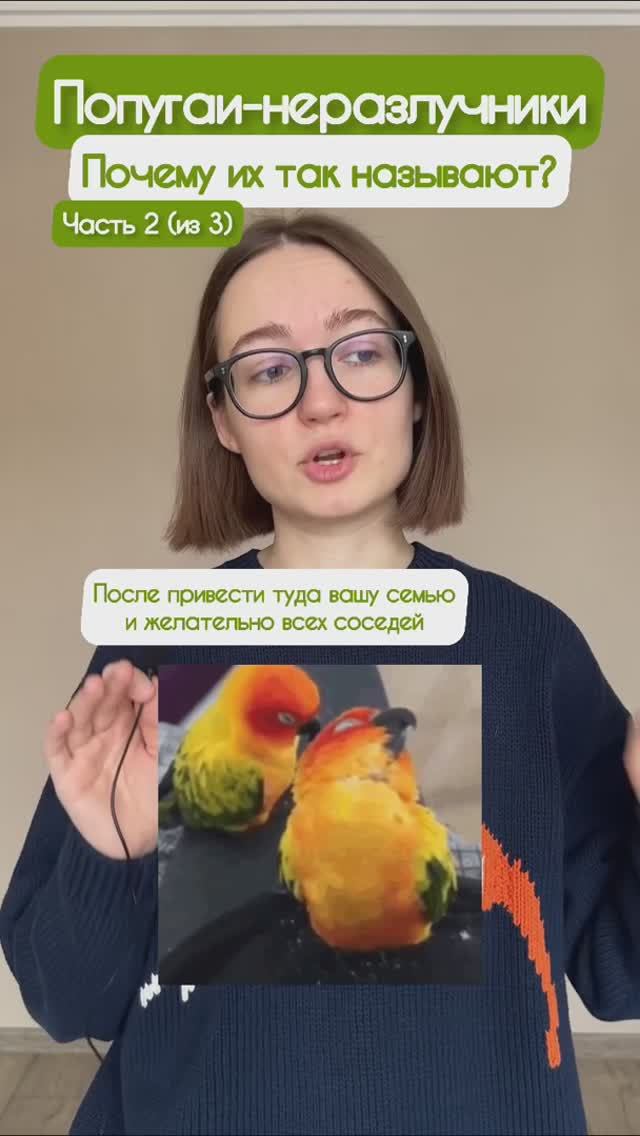 Тоже захотели себе таких попугайчиков?) Подписывайся, тебя ждет куча супер интересных фактов!!