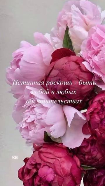 #shorts #пожелания #katyboro #фото #viralvideo