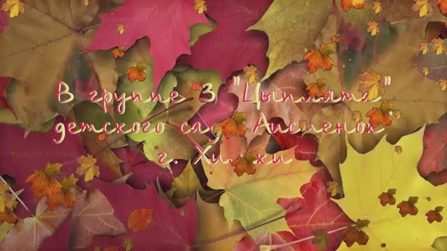 29.10 2025 Дс17 гр Цыплята Праздник Осени