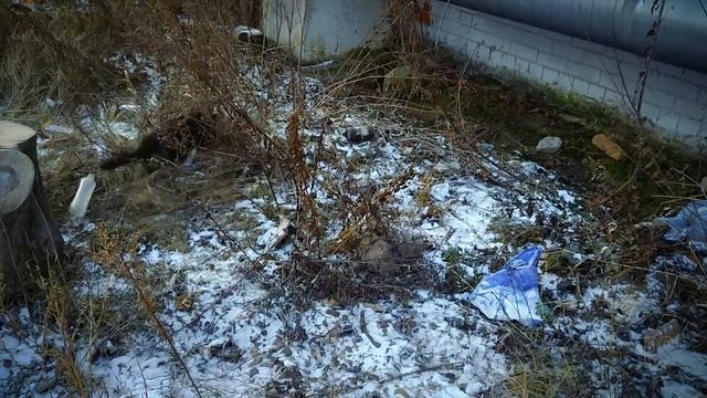 Чёрный Охотник / Black Hunter