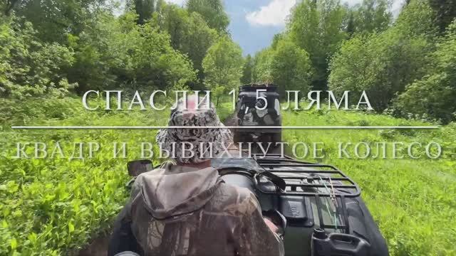 Спасли 1,5 ляма. КВАДР и вывихнутое колесо