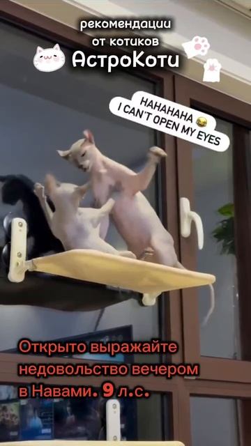 МУДРОСТЬ ПУСТОТЫ прогноз на сегодня, 30 октября