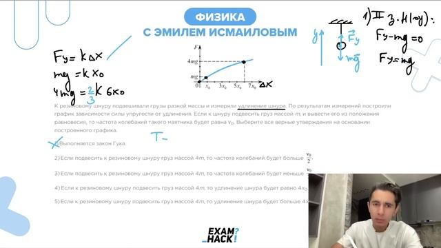К резиновому шнуру подвешивали грузы разной массы и измеряли удлинение шнура - №23248