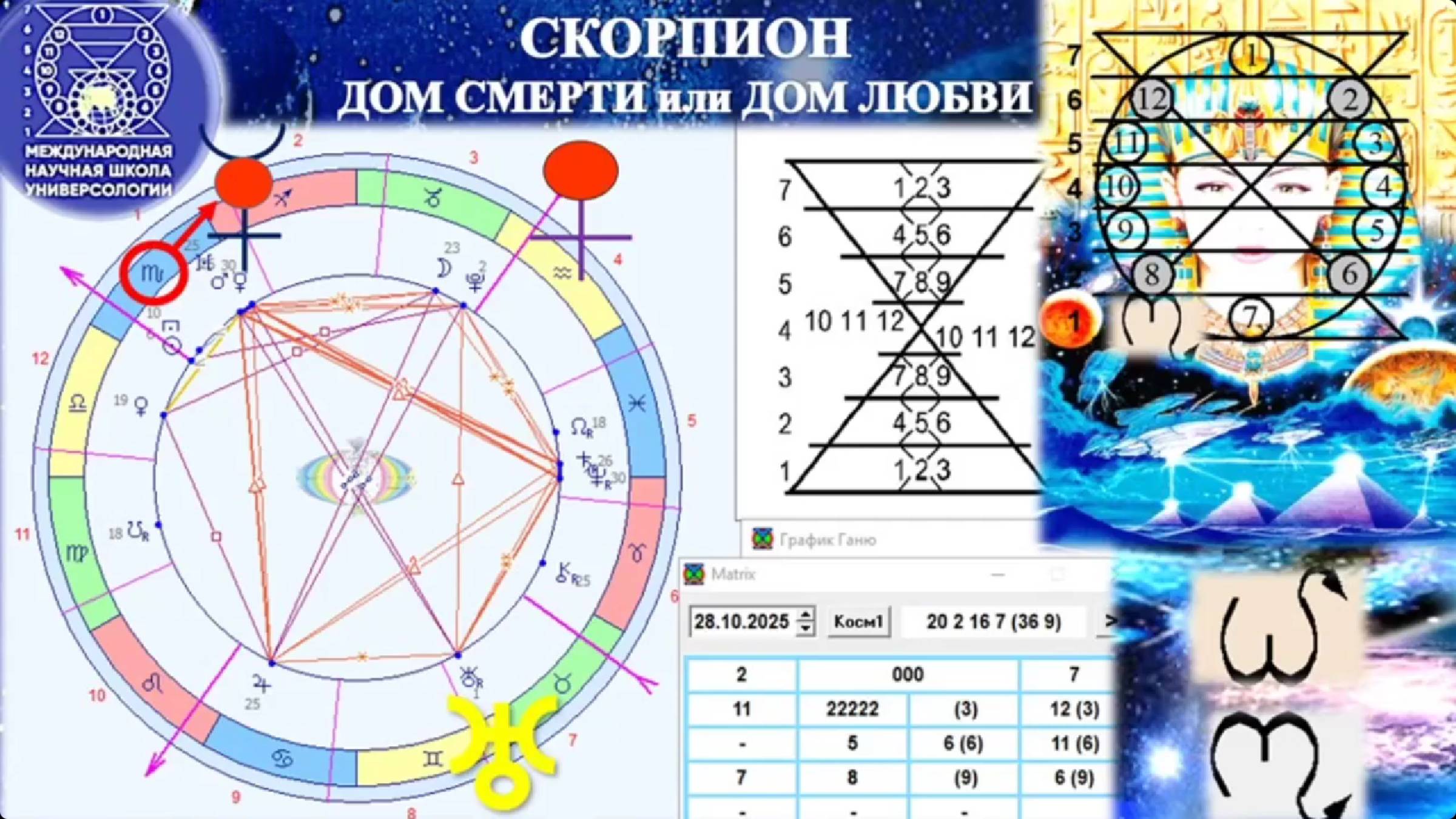 СКОРПИОН_ДОМ_СМЕРТИ_или_ДОМ_ЛЮБВИ_Что_Скорпион_значит_для_человечества