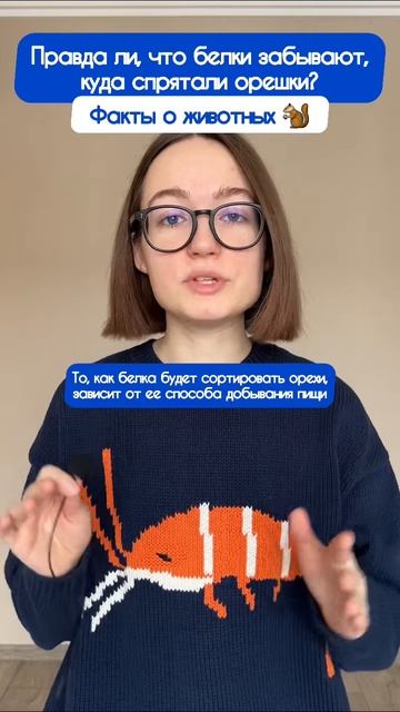 Вы знали, что белки прячут орехи, а потом забывают, куда спрятали?) Подписывайся на факты о животных