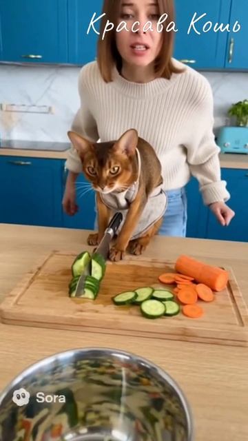 Всегда знала что абиссинцы умные и поддаются дрессировке 😅😺👍Но чтоб ТАК. #нейрокотики #юмор #ии #рек