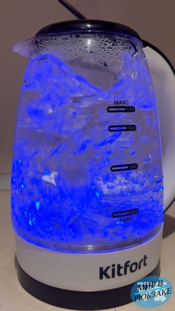 Залипалочка