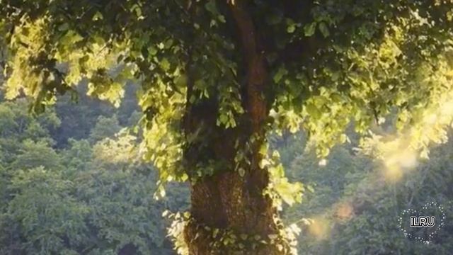 Реальная история - Собеседование, отказ, который изменил всё....