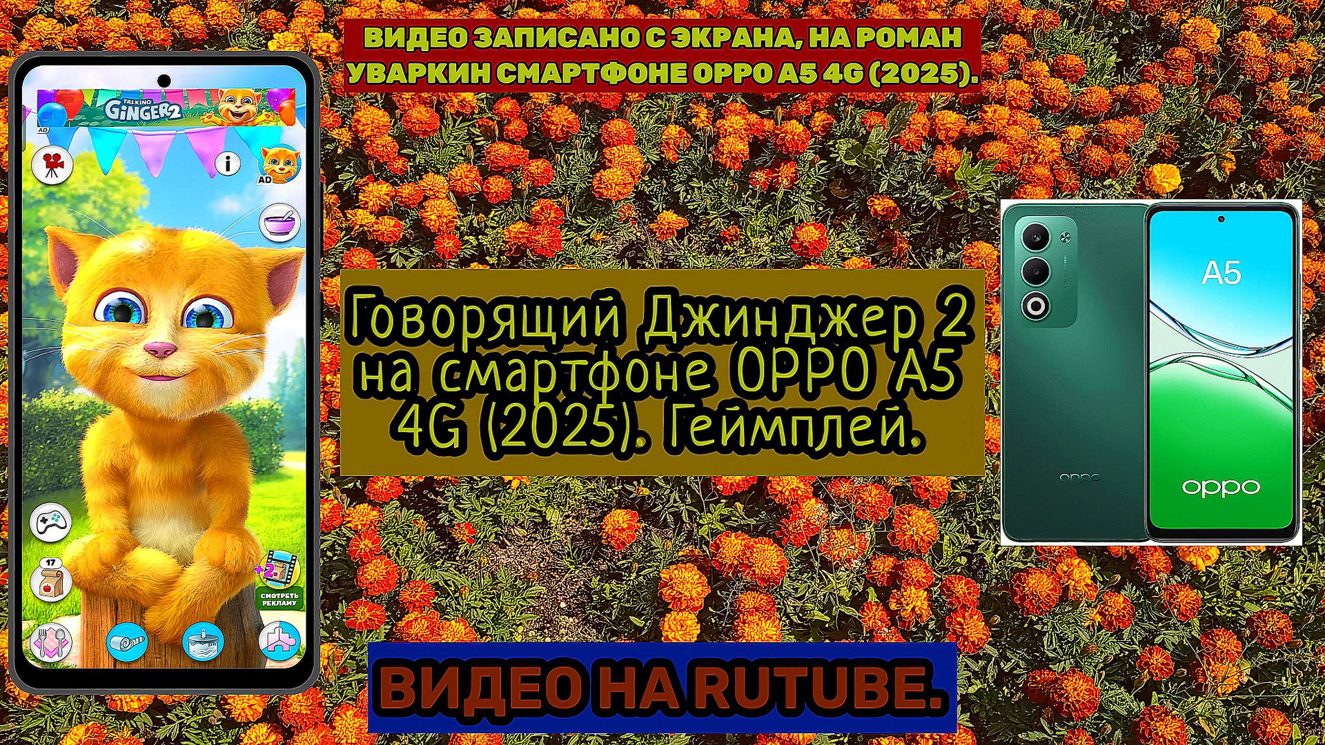 Говорящий Джинджер 2 на смартфоне OPPO A5 4G (2025). Геймплей. Сорри за высокого резкости видео!