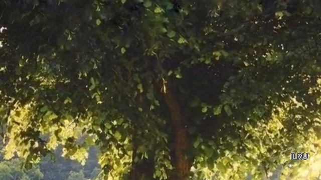 Реальная история, - Как начать новую жизнь с нуля...