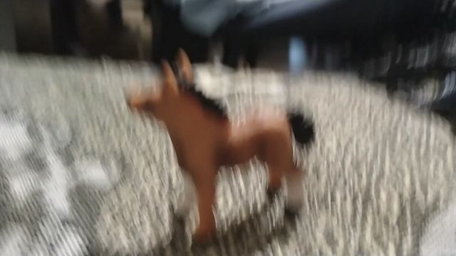 Марс и Глория🤣🤣🤣