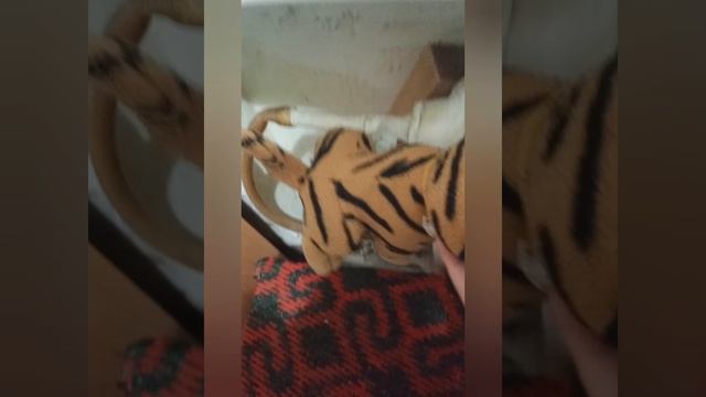 ДОМ ГРЕННИ В РЕАЛЬНОЙ ЖИЗНИ (ЧАСТЬ 1)