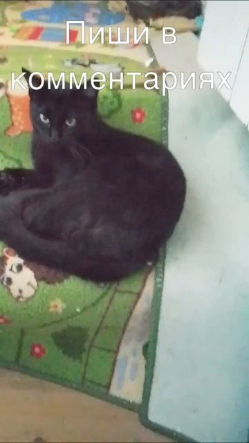 безымянный