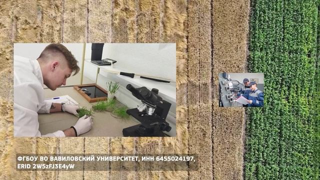 Какие молодежные инициативы сегодня преображают аграрный сектор?