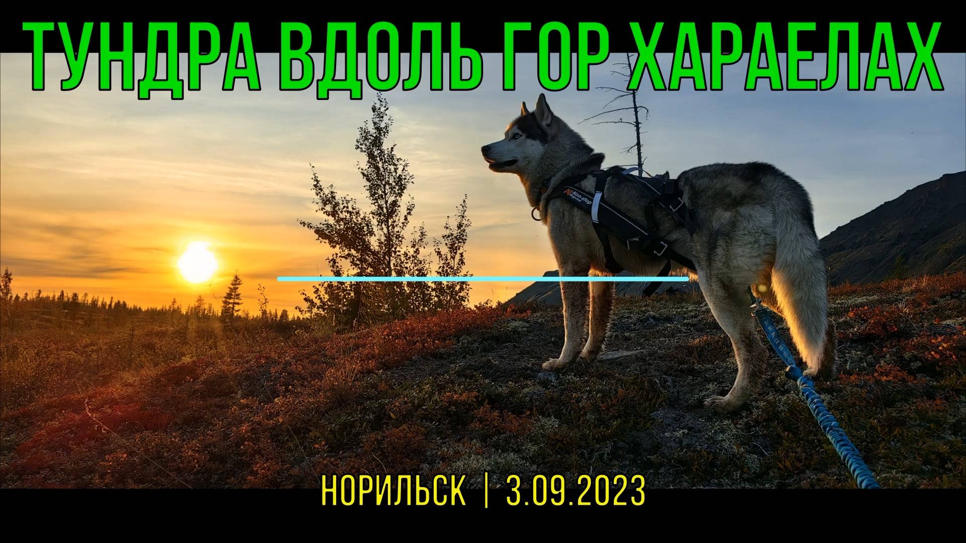 Тундра вдоль гор Хараелах | Идём к озеру  | Норильск | 3.09.2023