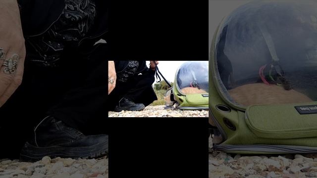 Демурзель состаканое видео 😇